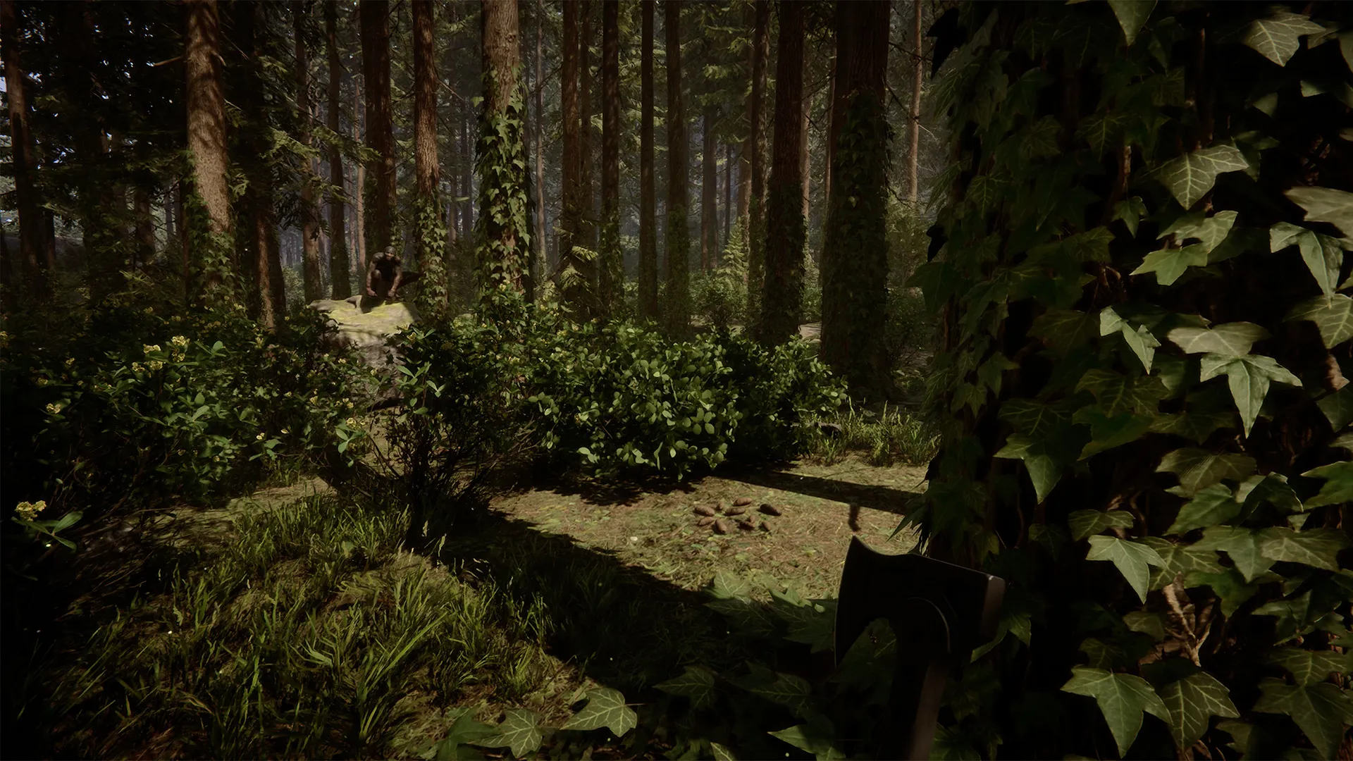 Sons Of The Forest (2024) PC Full Español